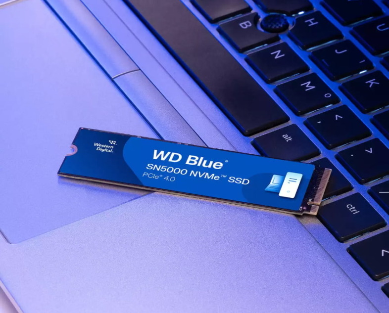 最大4TBのNVMe M.2 SSD『WD Blue SN5000 NVMe SSD』シリーズ | ニッチなPCゲーマーの環境構築Z